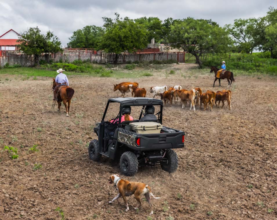 Polaris Australia: 2024 Ranger SP 530